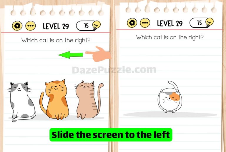 Brain Test Level 29 Which cat is on the right