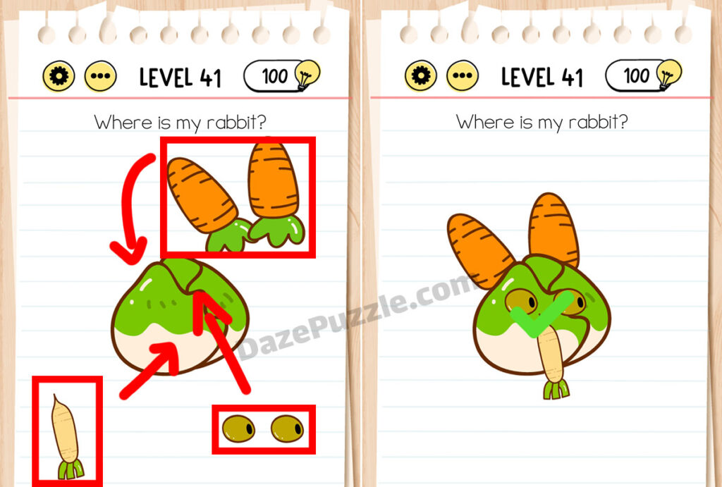 Brain Test Level 41 Where is my rabbit