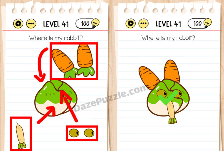 Brain Test Level 41 Where is my rabbit